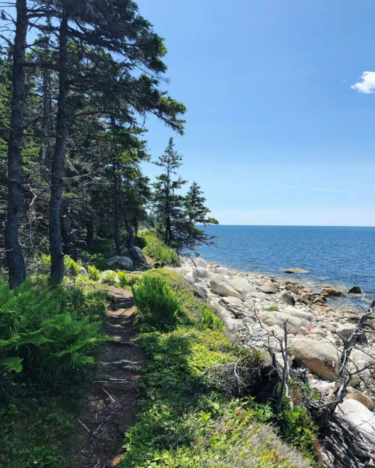 6 Unique Things to Do in Brunswick, ME | Redfin