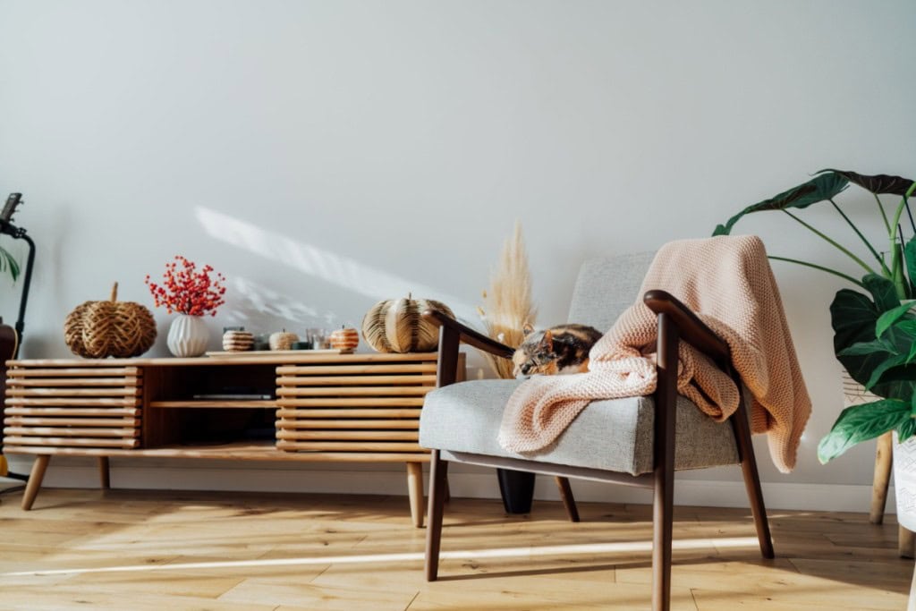 21 Tips On How to Make Your Cat Happy at Home | Redfin