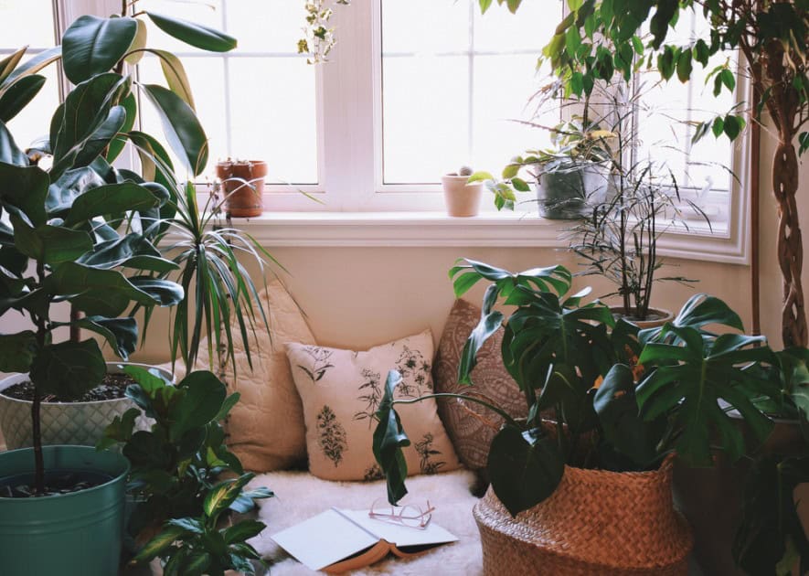 4 Tips To Turn Your Spare Room Into Your Dream At Home Library- Redfin