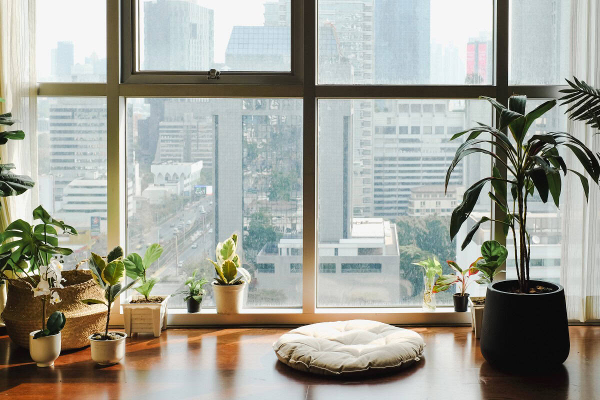 Is it Worth Replacing Windows Before Selling a House? | Redfin